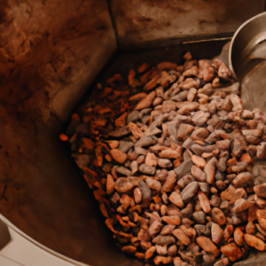 How To Eat Cacao Bean Raw - Rachael's Raw Food