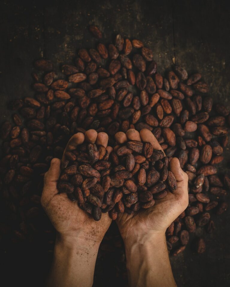 Raw Cacao for Hormonal Balance: Facts and Myths - Rachael's Raw Food